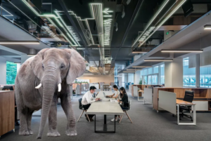 MEP Embodied Carbon: The elephant in the room, roof & basement